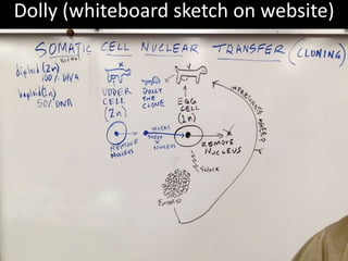 Cloning Notes | PPTX