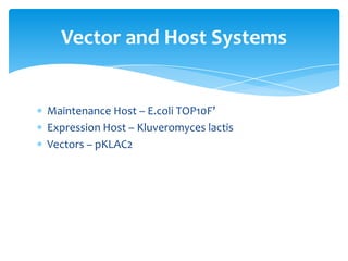 Cloning of candida antarctica lipase a gene in to kluveromyces lactis ...
