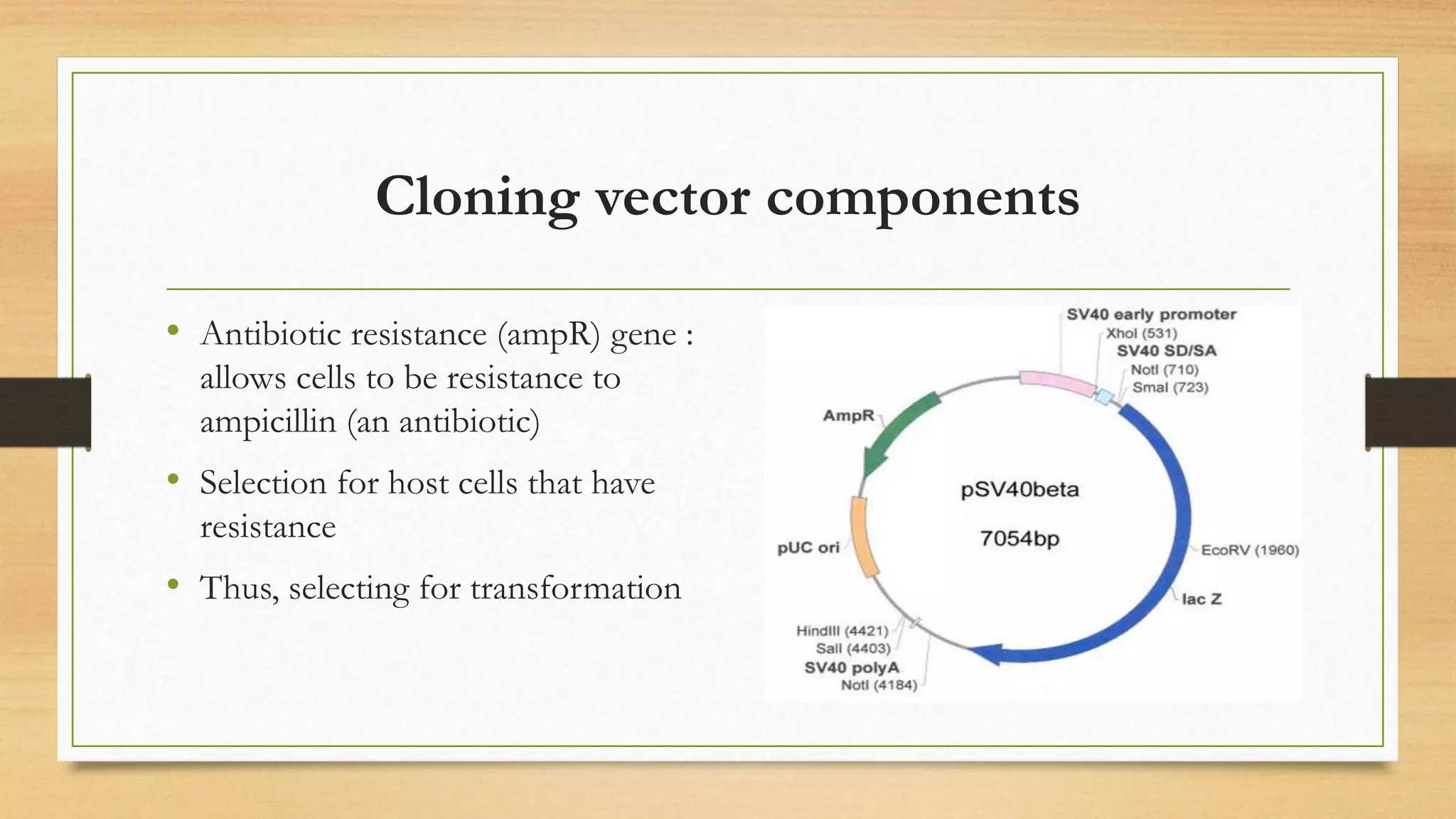 Cloning of disease gene | PPTX