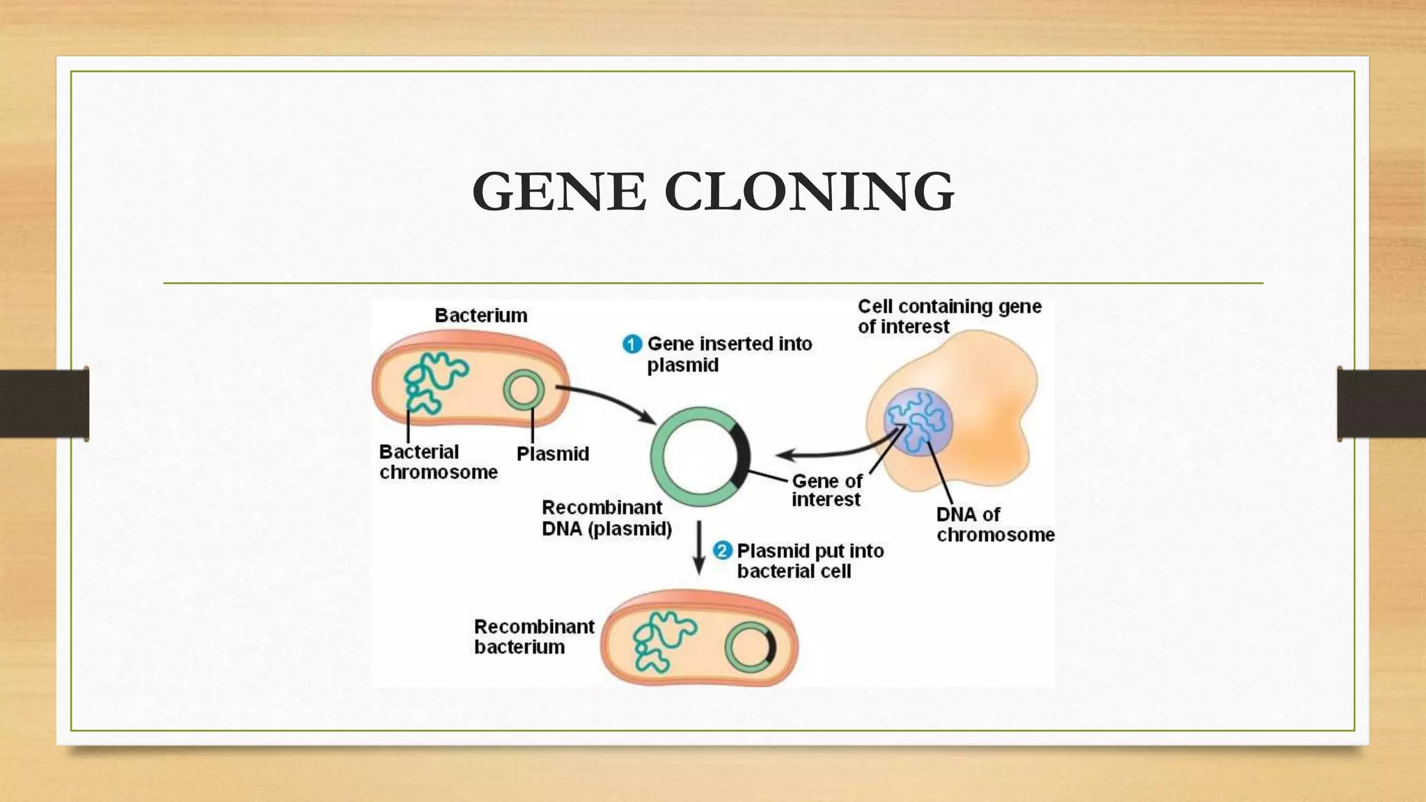 Cloning of disease gene | PPTX