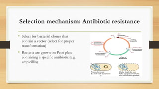 Cloning of disease gene | PPTX