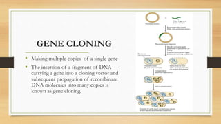 Cloning of disease gene | PPTX