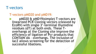 Cloning pcr | PDF