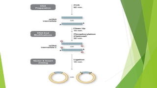 Cloning pcr | PDF