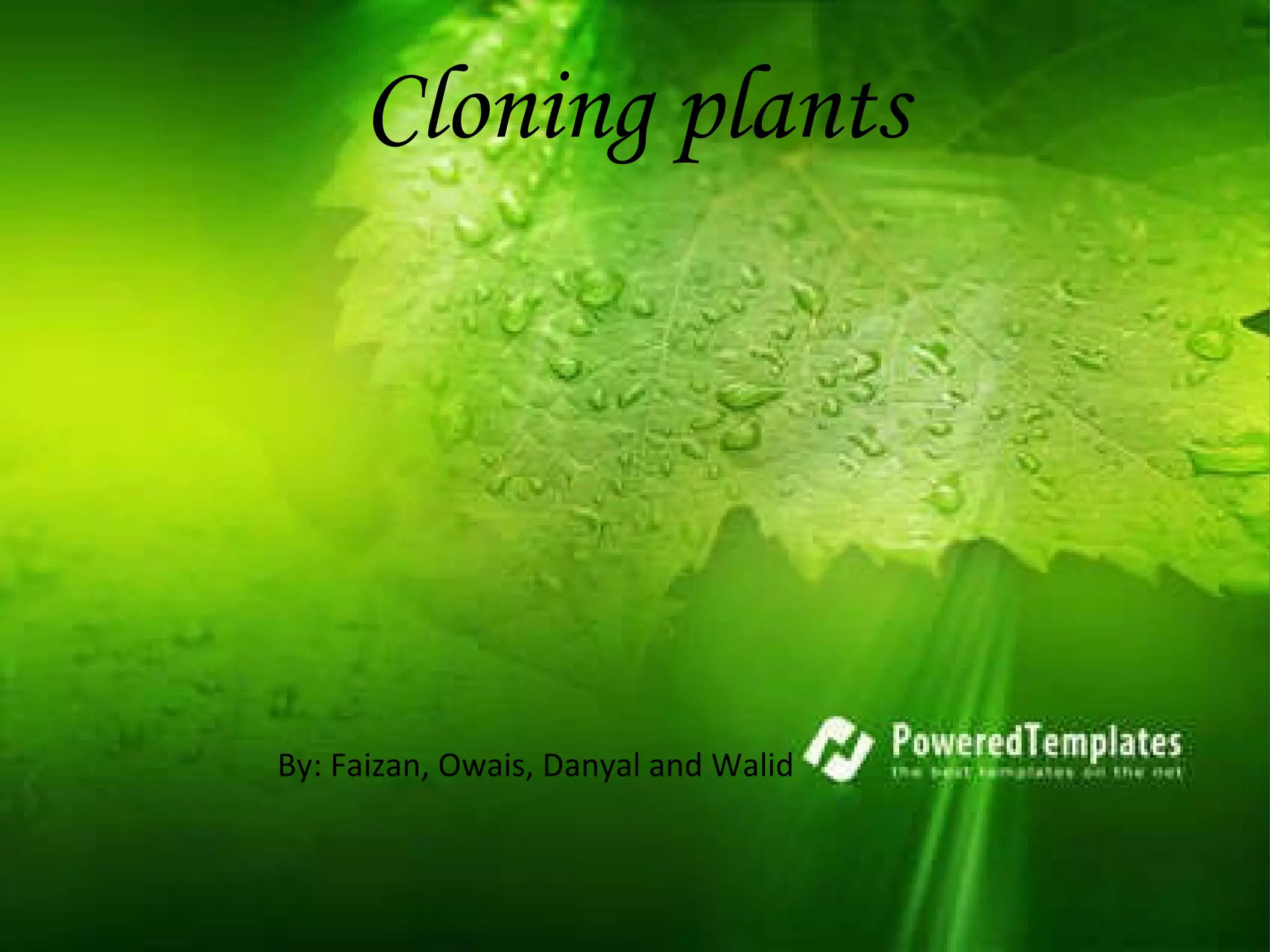 Cloning plants 03 | PPT