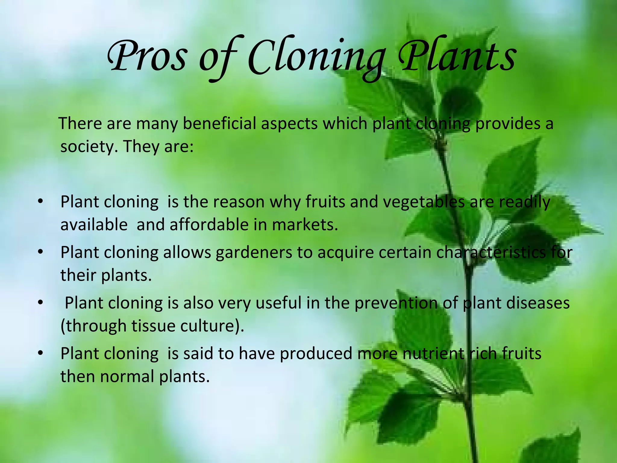 Cloning plants 03 | PPT
