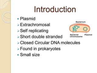 Cloning plasmid | PPTX