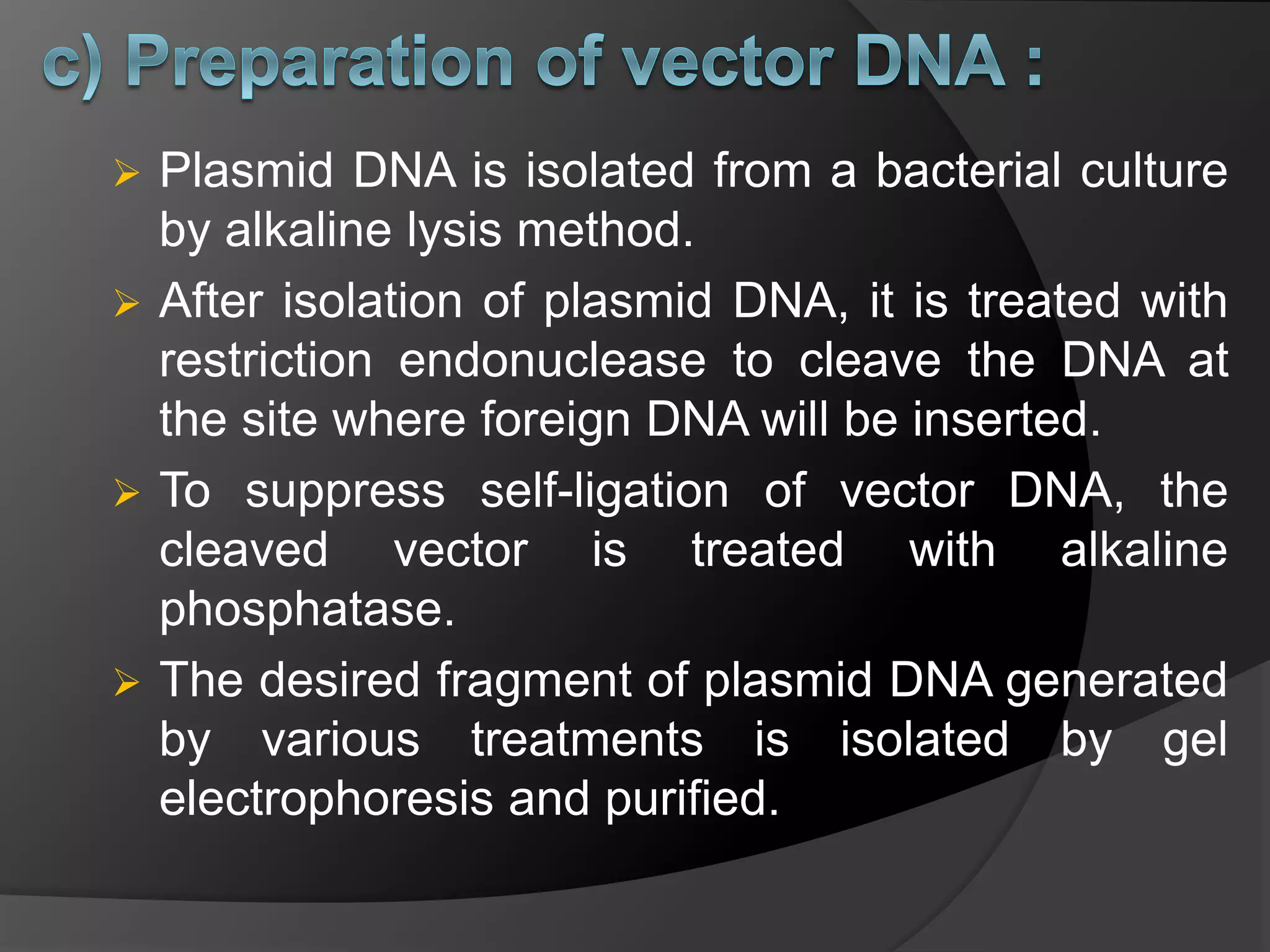 Gene Cloning | PPTX