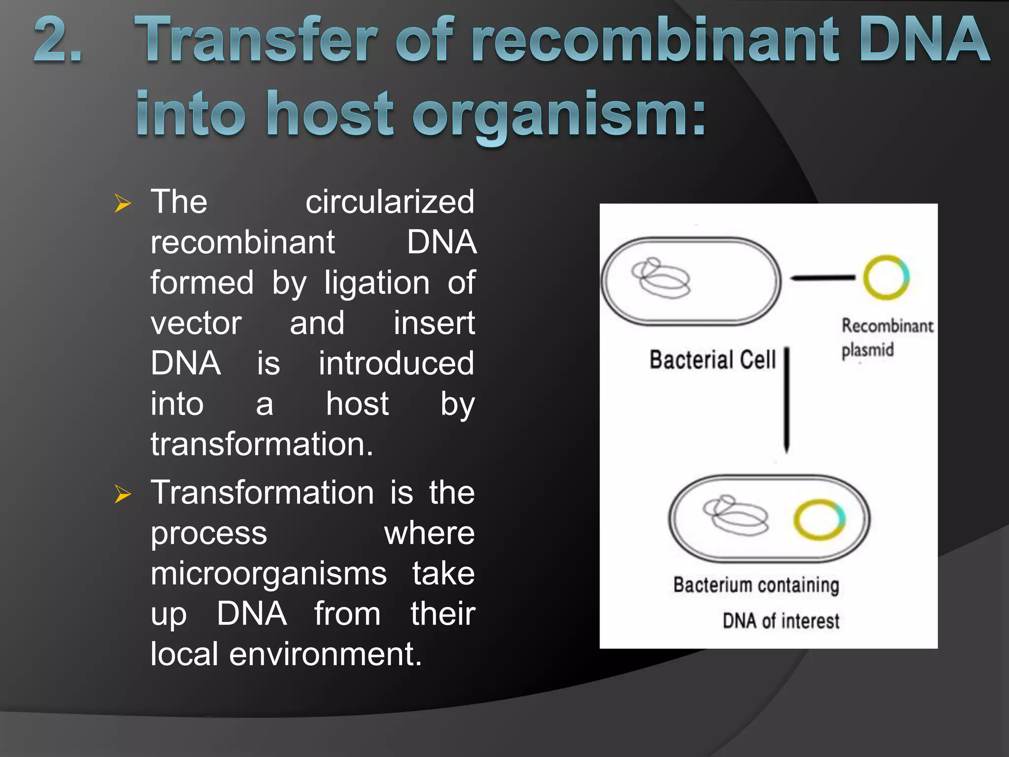 Gene Cloning | PPTX