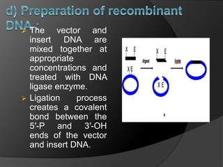 Gene Cloning | PPTX