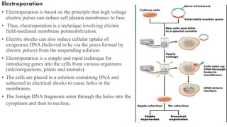 Cloning strategies | PPTX