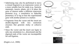 CLONING STRATEGIES eukaryotes and prokaryotes (2).pptx