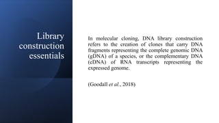 CLONING STRATEGIES eukaryotes and prokaryotes (2).pptx