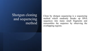 CLONING STRATEGIES eukaryotes and prokaryotes (2).pptx