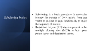 CLONING STRATEGIES eukaryotes and prokaryotes (2).pptx