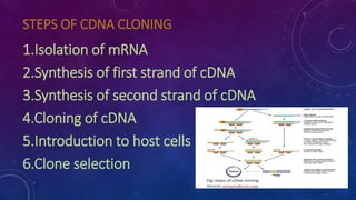 CLONING METHODOLOGIES(M.Nagapradheesh).pptx