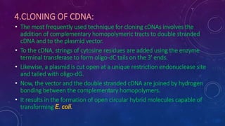 CLONING METHODOLOGIES(M.Nagapradheesh).pptx