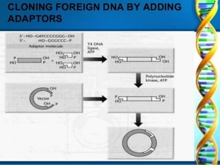 Cloning techniques | PDF