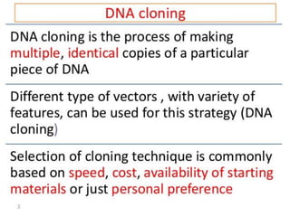 Cloning techniques | PPT