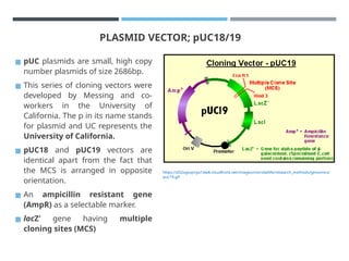 Cloning Vector, PLASMID VECTOR, MEHANISM | PPTX