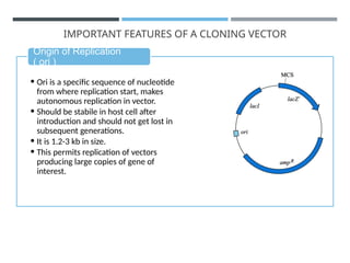 Cloning Vector, PLASMID VECTOR, MEHANISM | PPTX