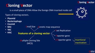Cloning vector | PPT