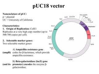 cloning vectors and plasmid vectors.pptx