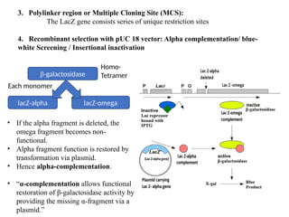 cloning vectors and plasmid vectors.pptx