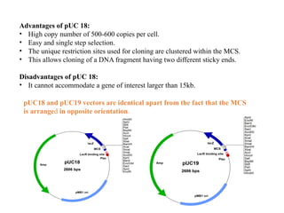 cloning vectors and plasmid vectors.pptx