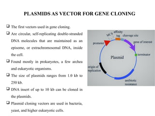 cloning vectors and plasmid vectors.pptx