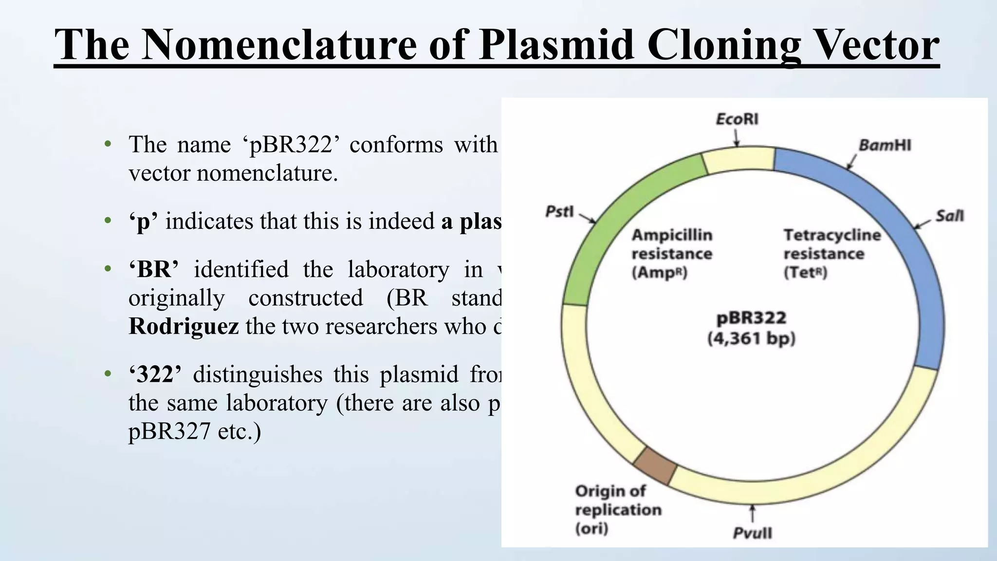 Cloning vectors | PPTX