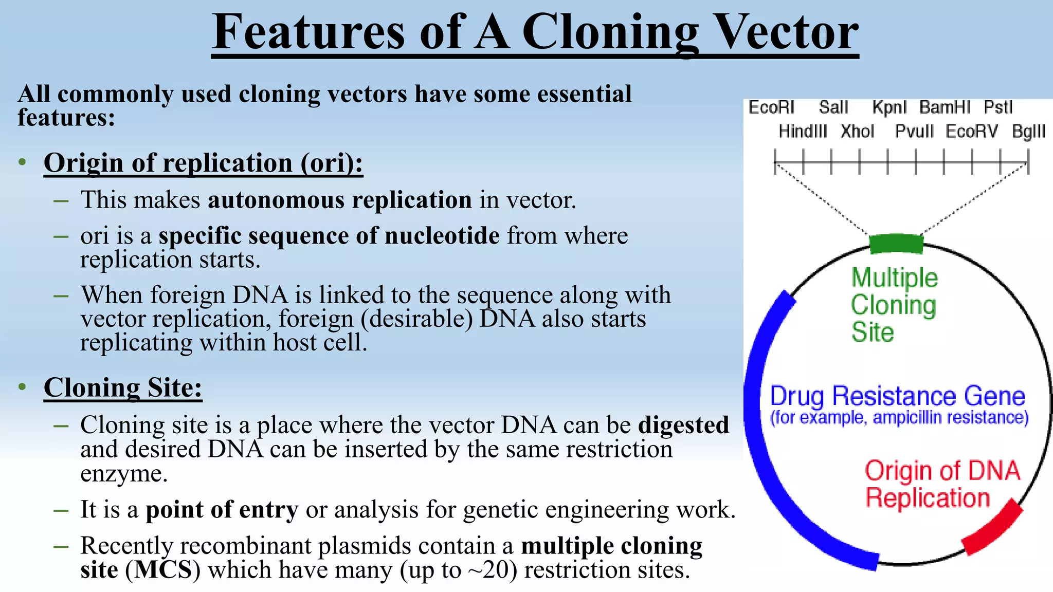 Cloning vectors | PPTX