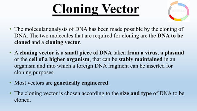 Cloning vectors | PPT