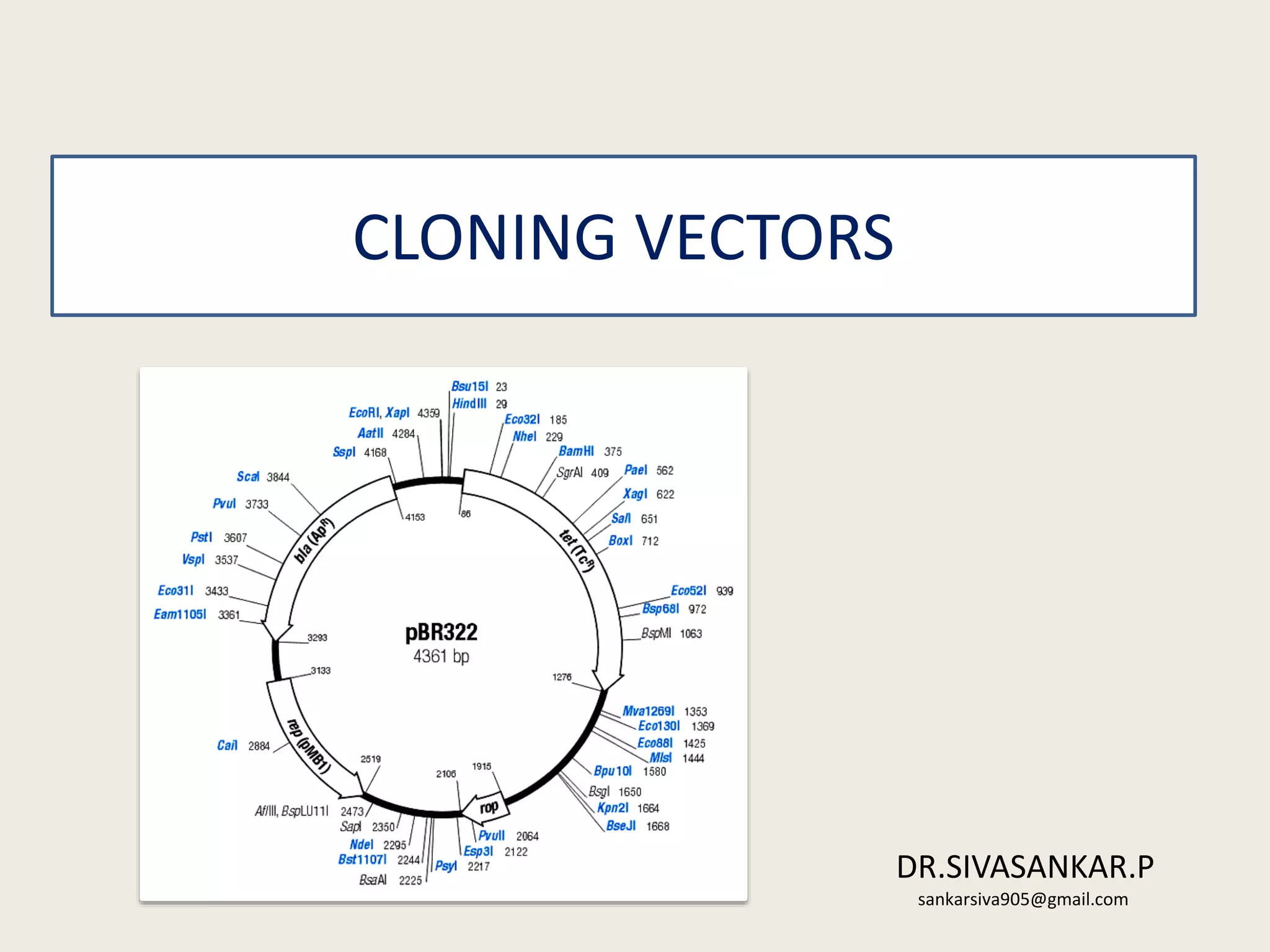 Cloning vectors | PPT