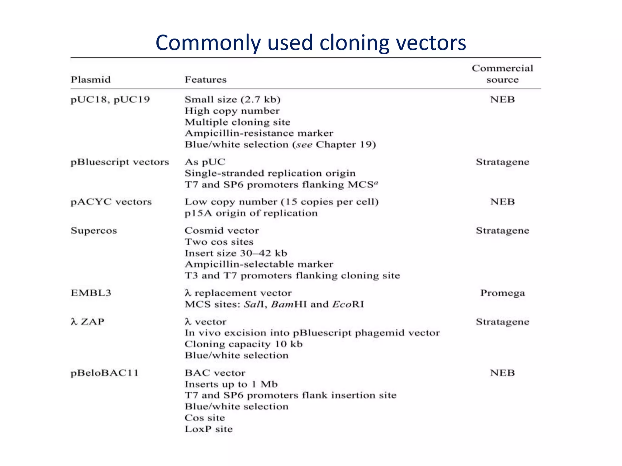 Cloning vectors | PPTX