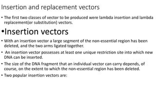 Cloning vectors | PPTX