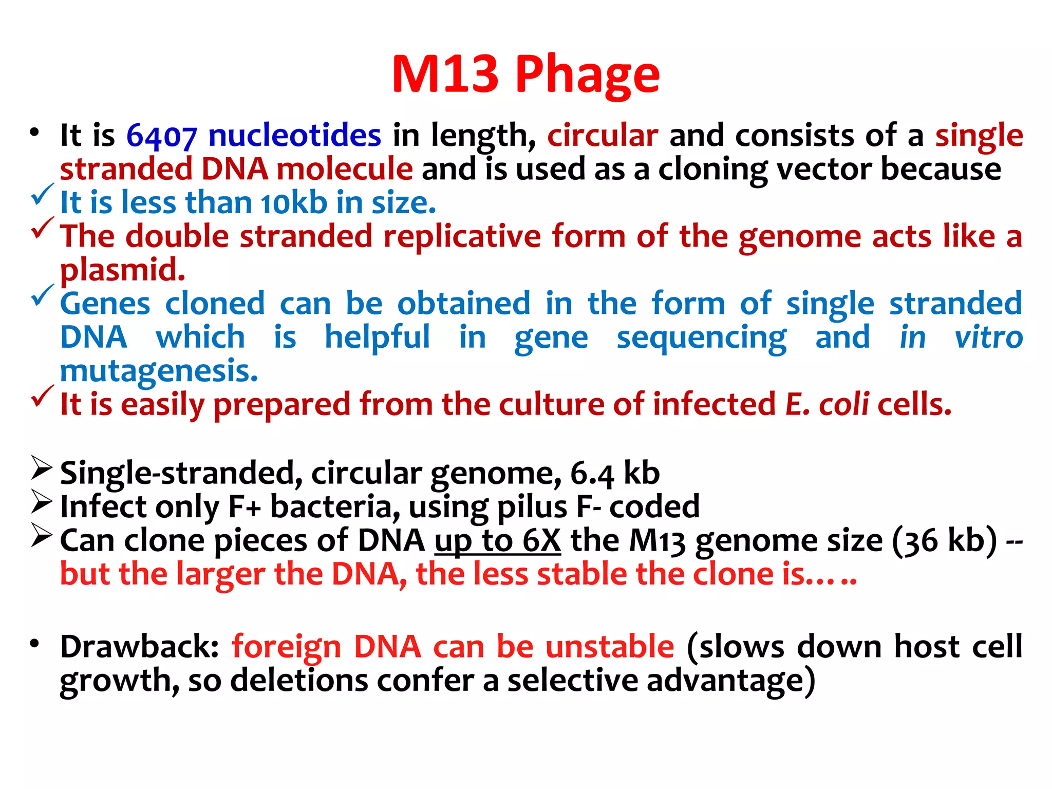 Cloning vectors | PPT