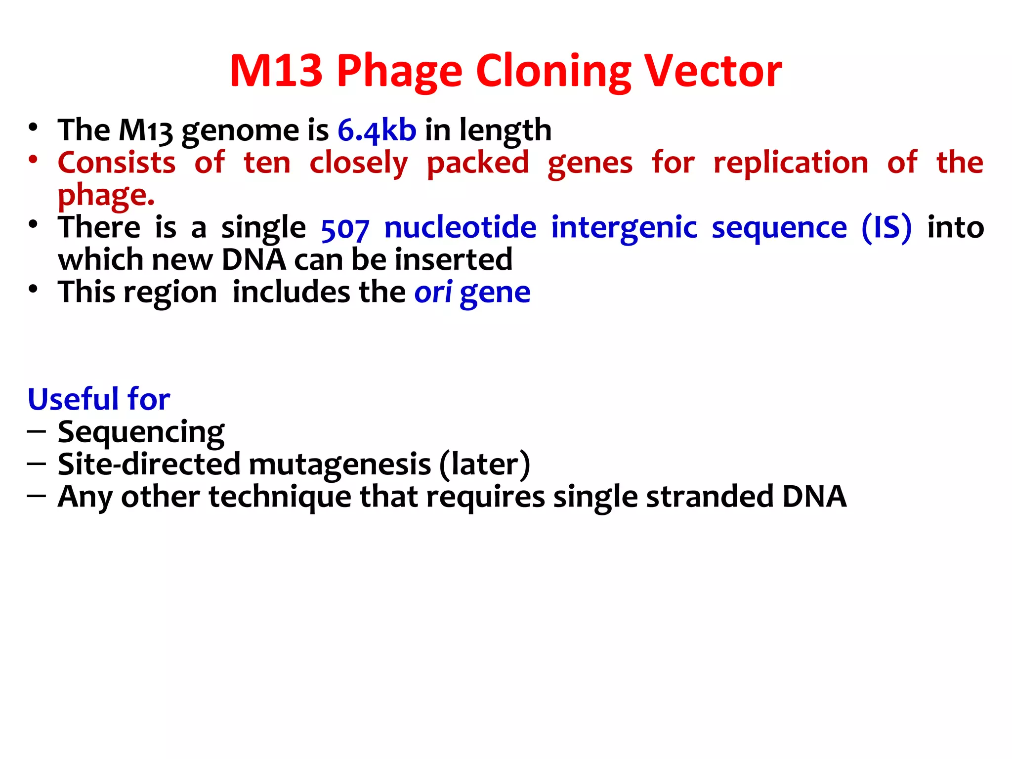 Cloning vectors | PPT