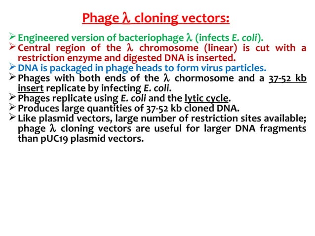 Cloning vectors | PPT