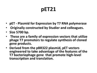 Cloning vectors | PPT