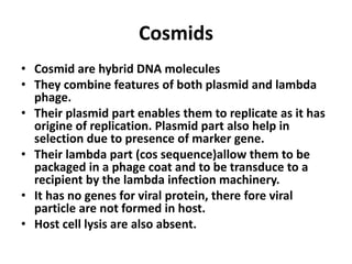Cloning vectors | PPT