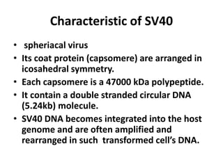 Cloning vectors | PPT