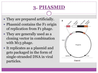Cloning vectors | PPTX
