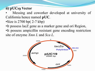 Cloning vectors | PPT
