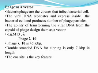 Cloning vectors | PPTX