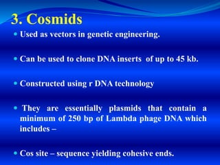 CLONING VECTORS SMG | PPT