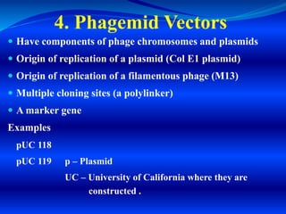 CLONING VECTORS SMG | PPT
