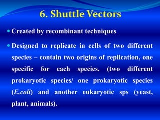 CLONING VECTORS SMG | PPT