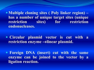 CLONING VECTORS SMG | PPTX