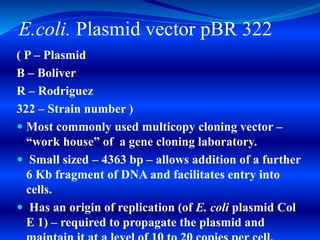 CLONING VECTORS SMG | PPTX